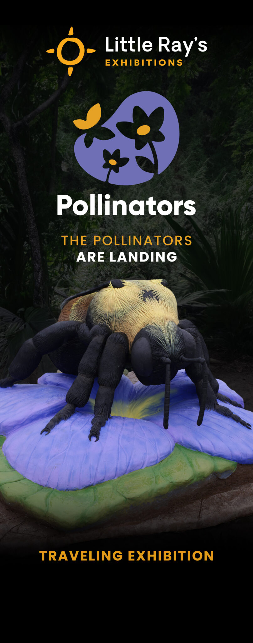 Pollinators - Little Ray's Exhibitions