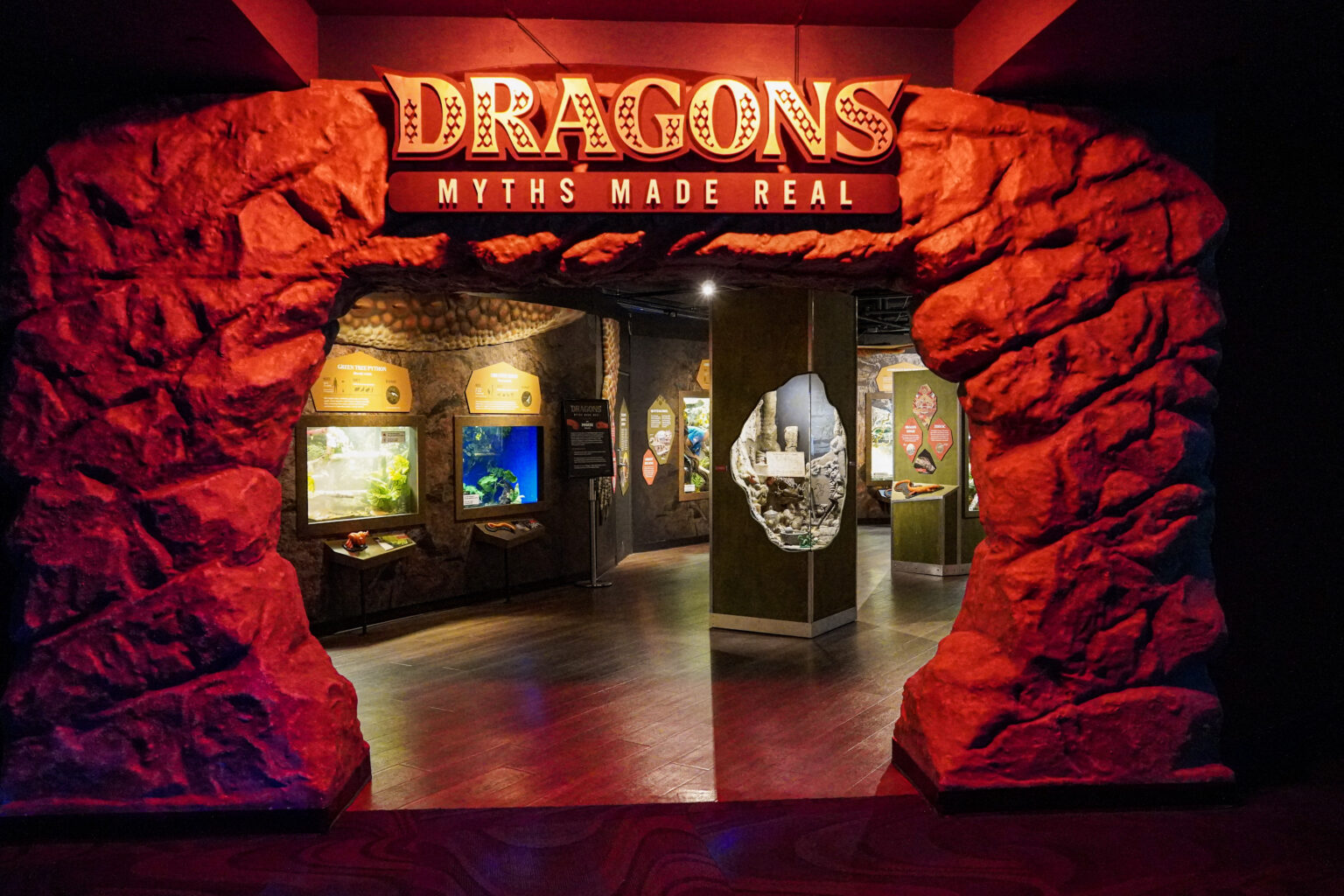 Dragons - Little Ray's Exhibitions